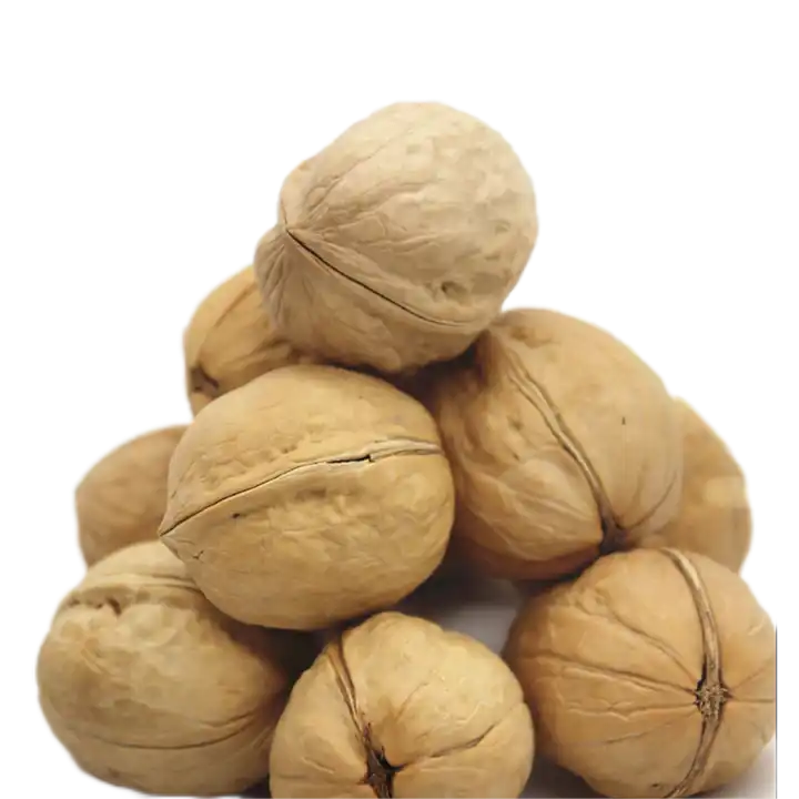 Walnuts Current New Crop In shell best choice Nut, Number one quality