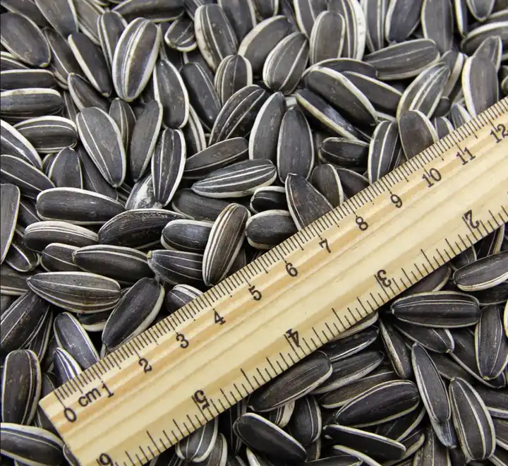 New Crop Sunflower Seeds for Wholesale from Chinese T5 210-220 High Gr